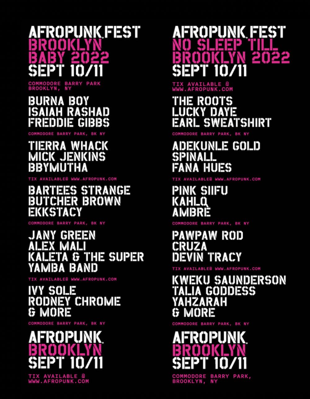 Afropunk Festival – Brooklyn 2022 | Funky People Online